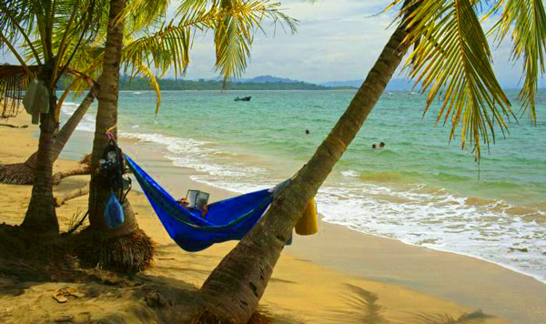 ESL English Listening and Reading